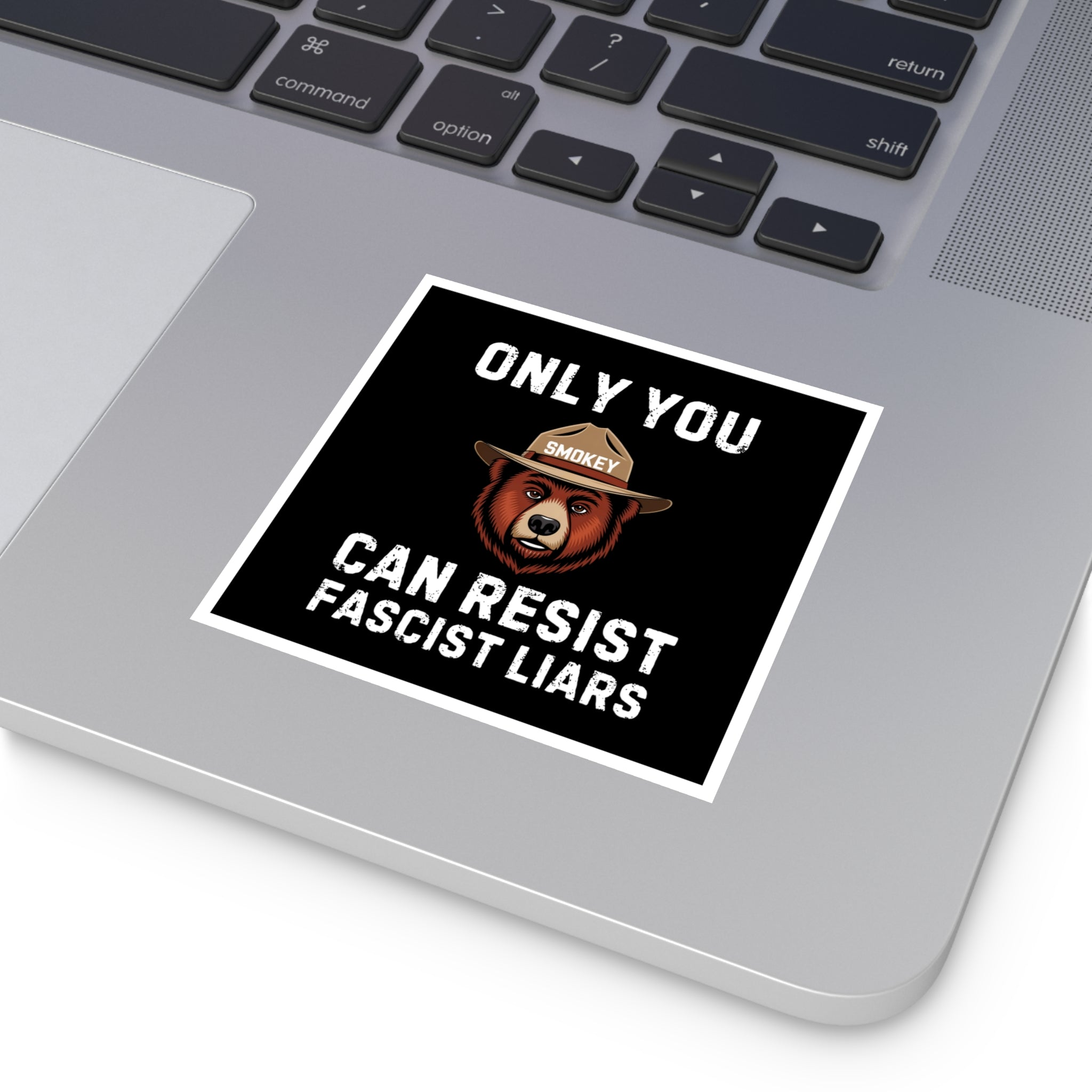 The Best Pro Democracy Political Signs, Election Signs and Merchandise ...