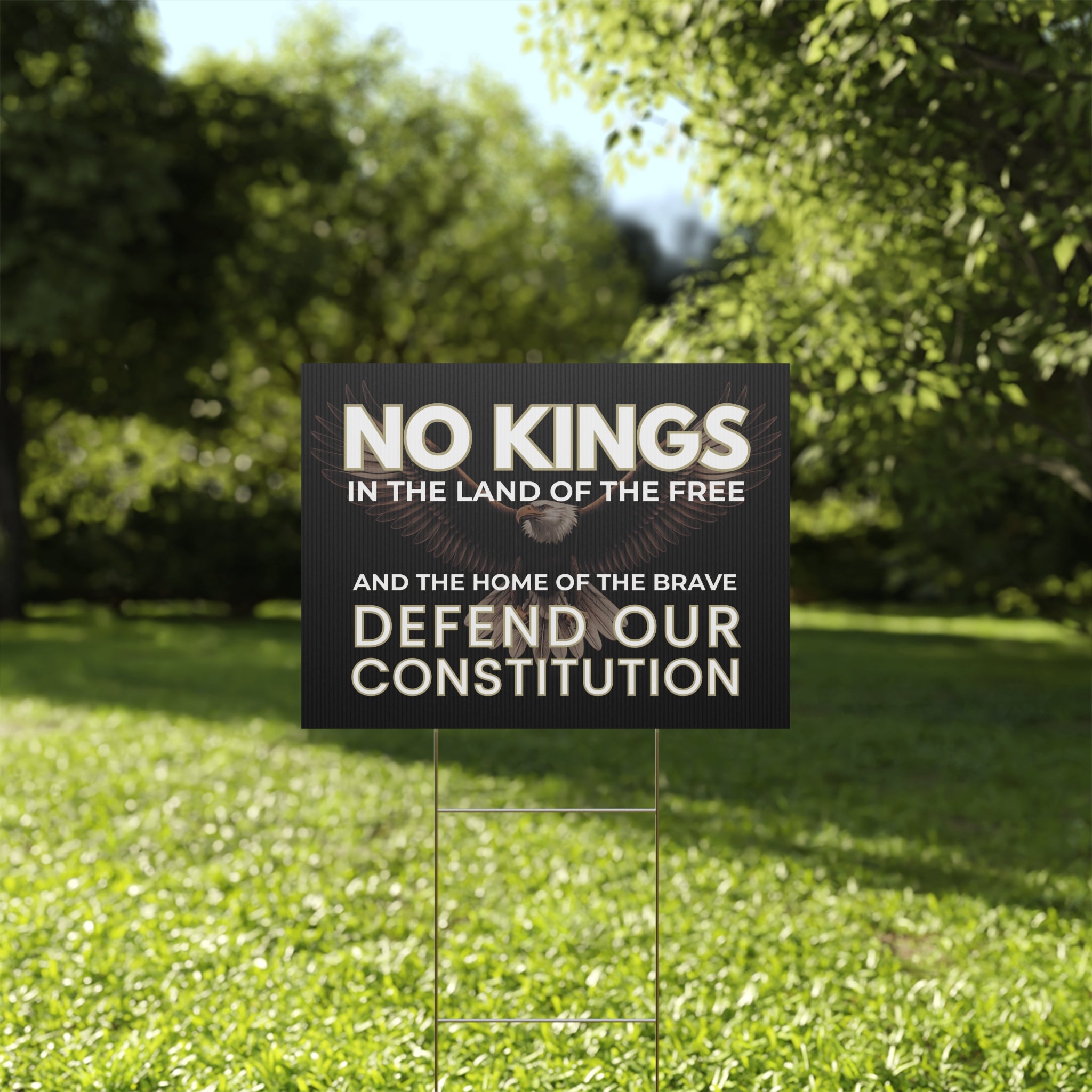 No Kings Yard Sign, No Kings Protest Sign, Patriotic Yard Sign, Defend ...
