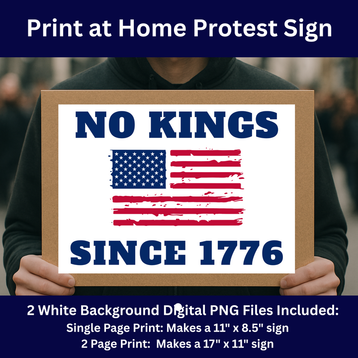 The Best Pro Democracy Political Signs, Election Signs and Merchandise ...
